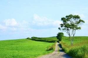 【jQuery】eq()で要素の順番を指定して選択する | コーディングライフスタイル